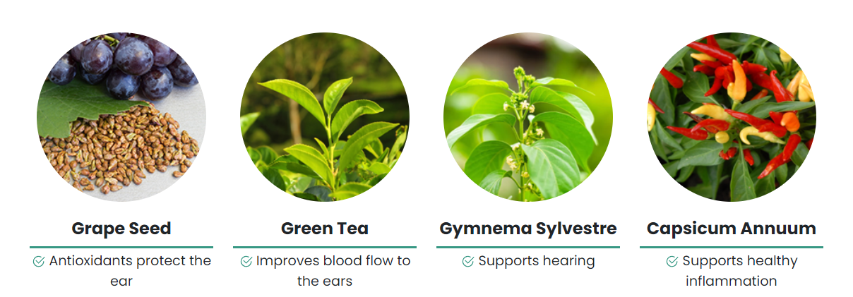 Cortexi Review – Pure Testimonials